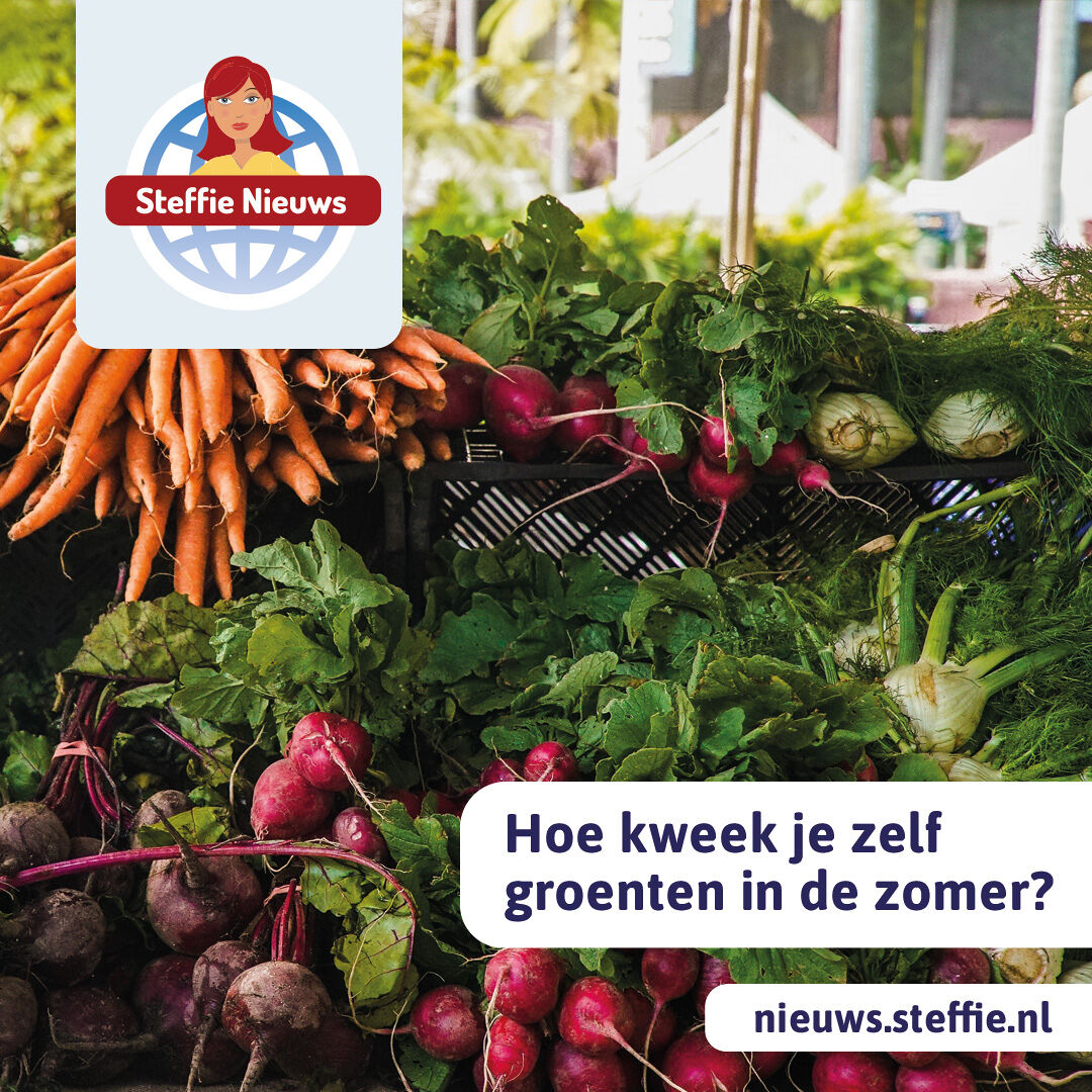 Kweek zelf deze groenten in de zomer